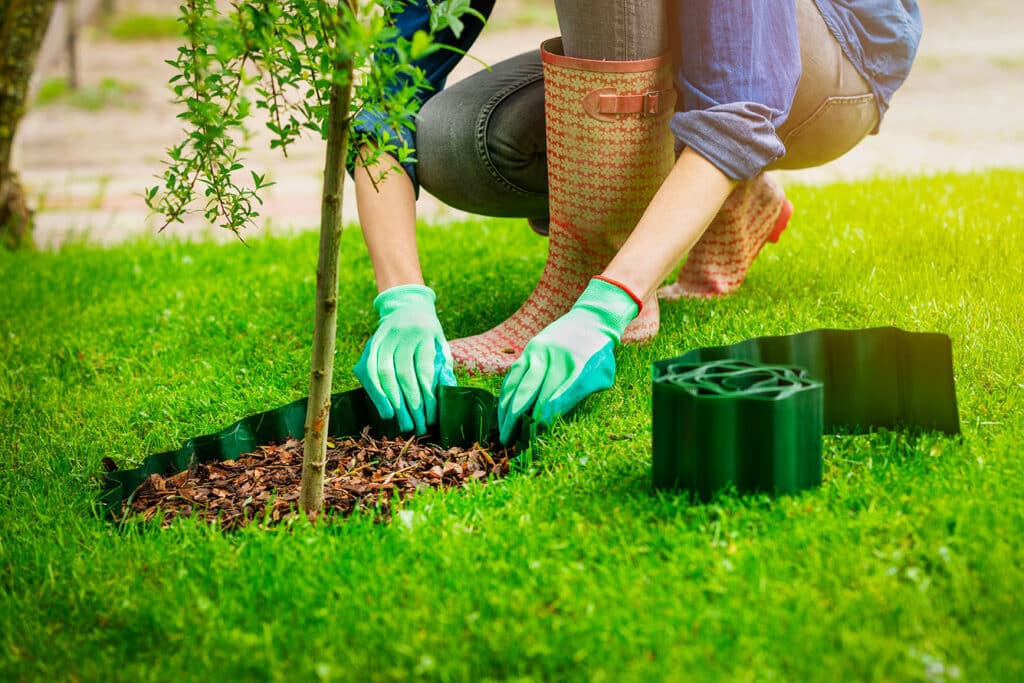 Comment bien planter un arbre | Comptoir Richelieu